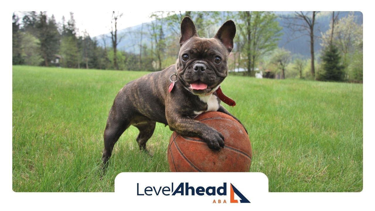 Decoding Autism in Dogs: Signs and Symptoms | Level Ahead ABA