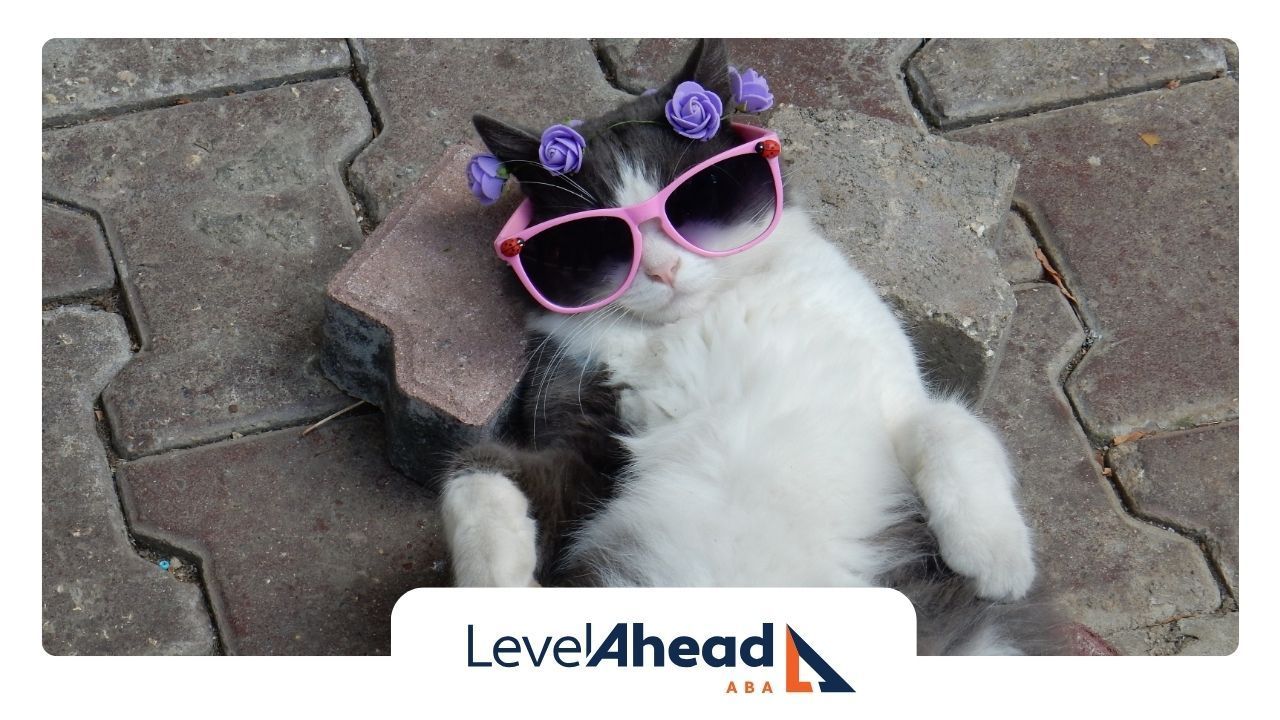 Can Cats Have Autism? Signs & Symptoms | Level Ahead ABA