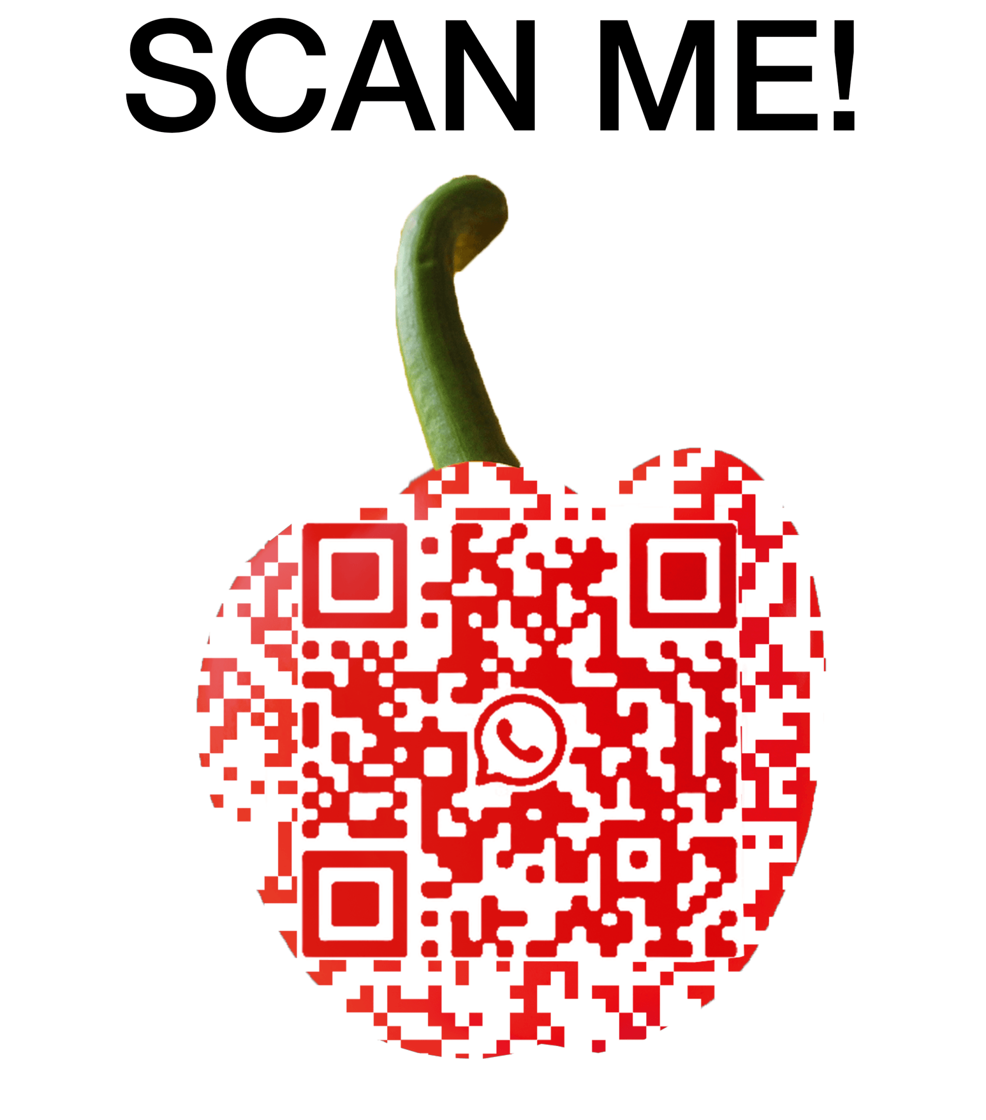 Capsicum Culinary School Nelson Mandela Bay Campus | Capsicum