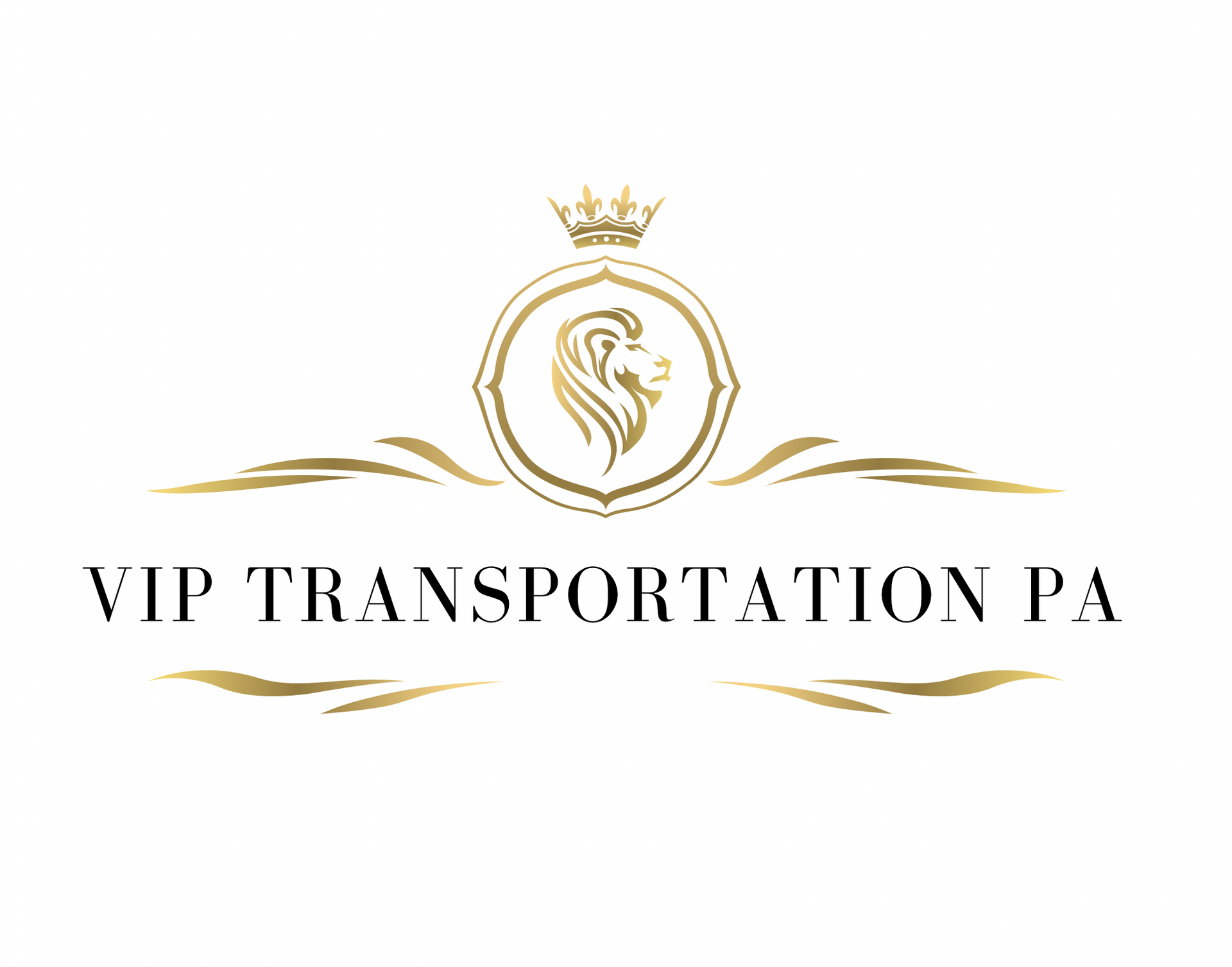 Home [www.viptransportationpa.com]