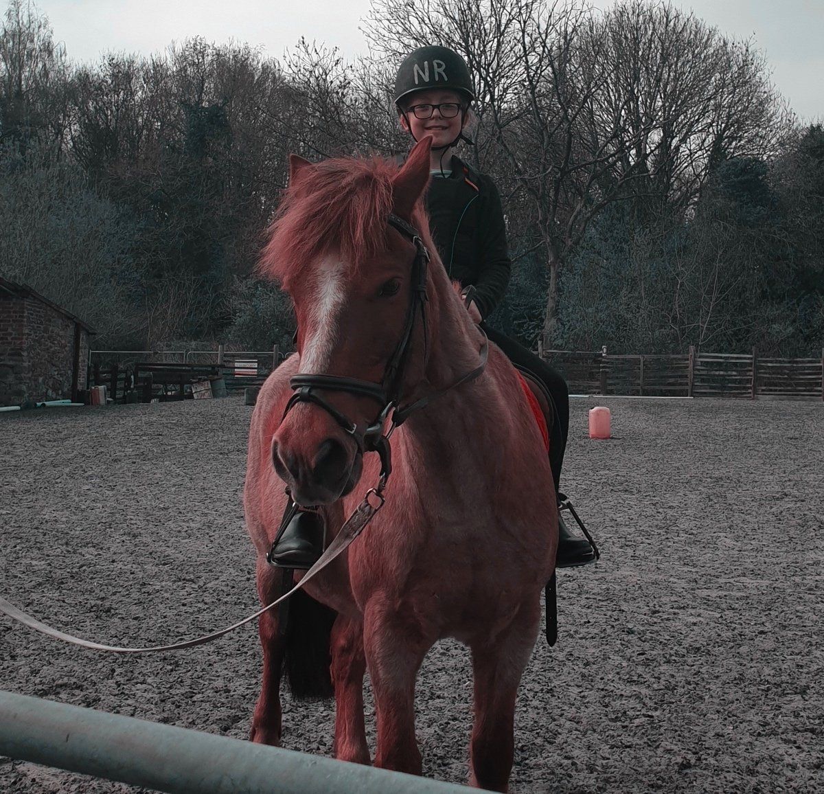 Engine Common Horse Riding School Bristol | What People Say