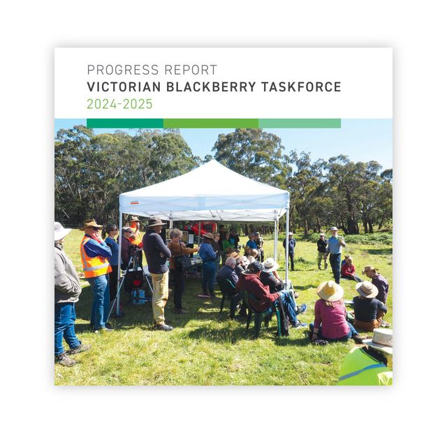 vic blackberry taskforce