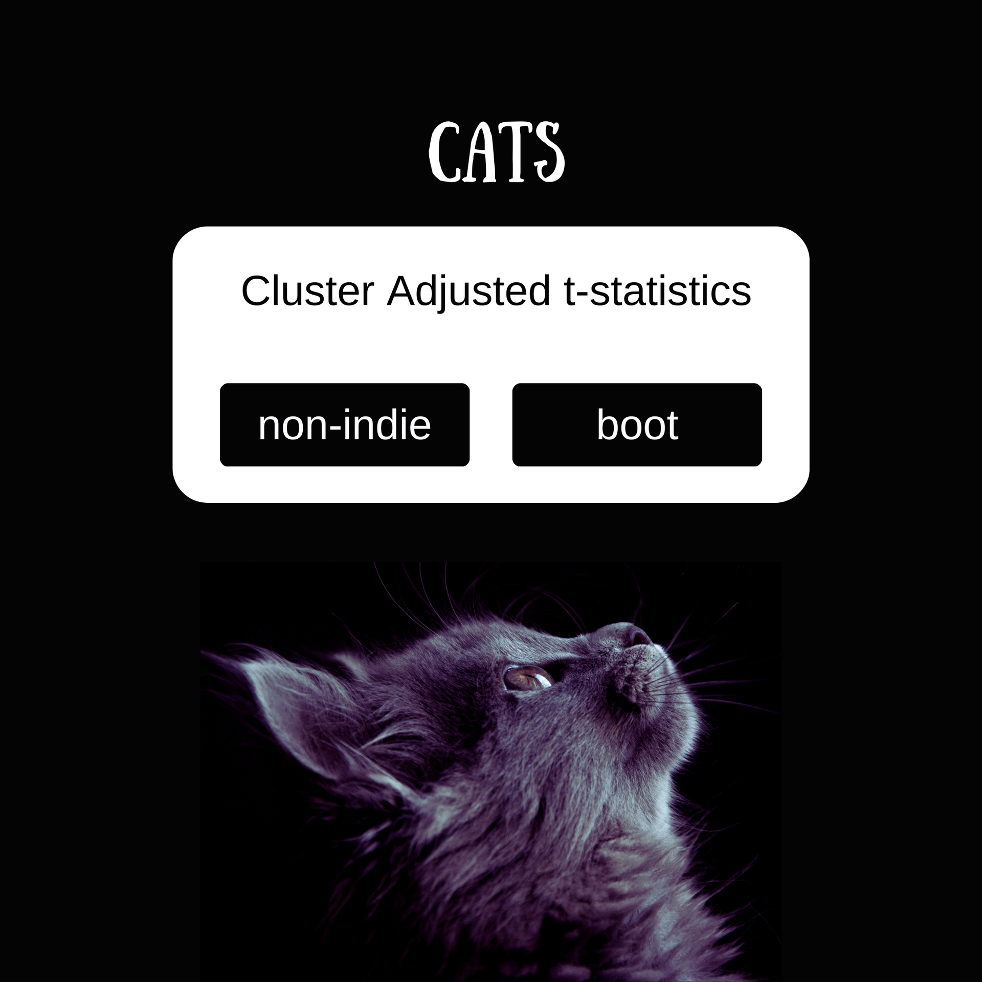 Approaching CATs Approaching CATs