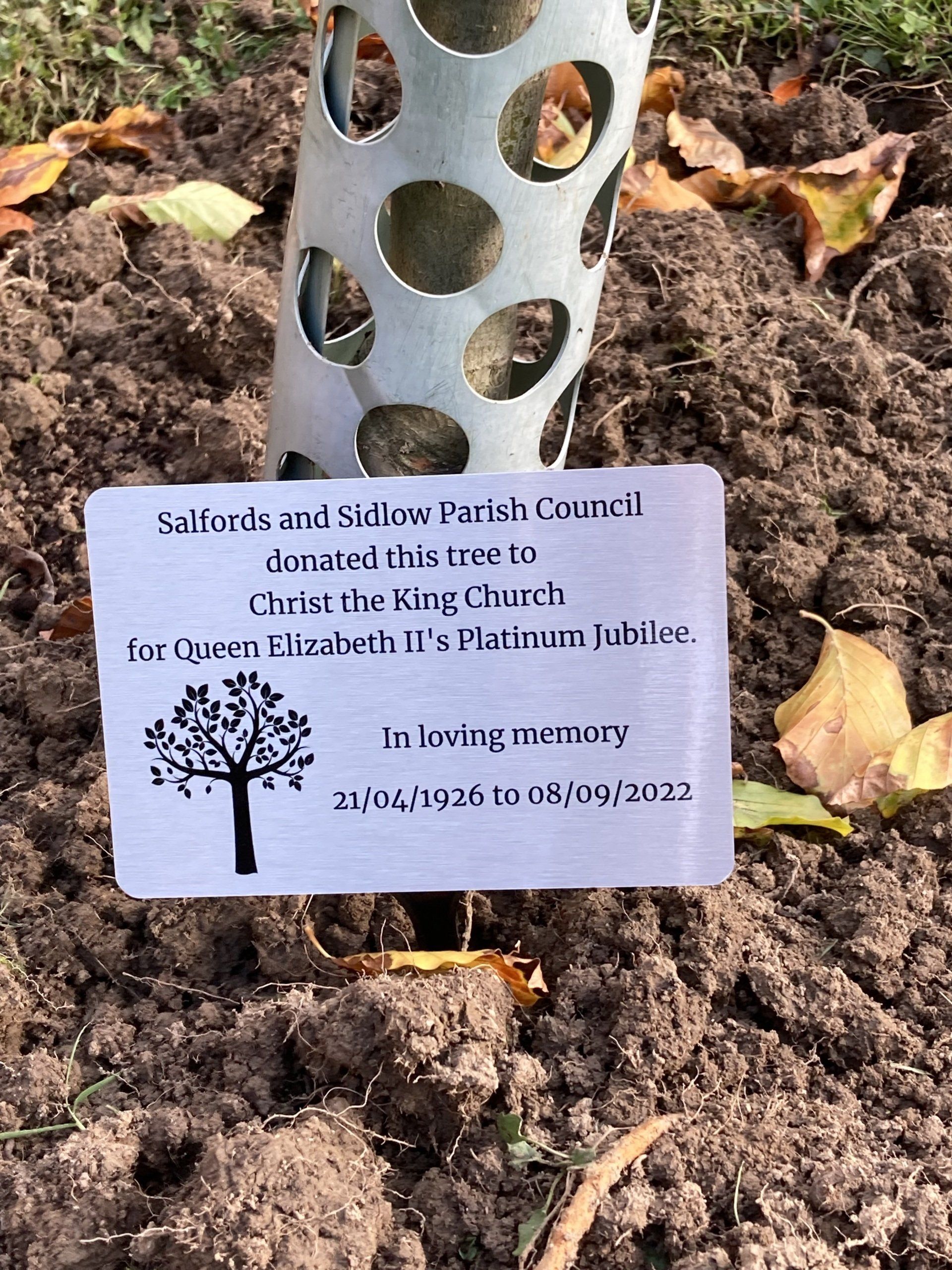 Donated trees to Salfords Primary School