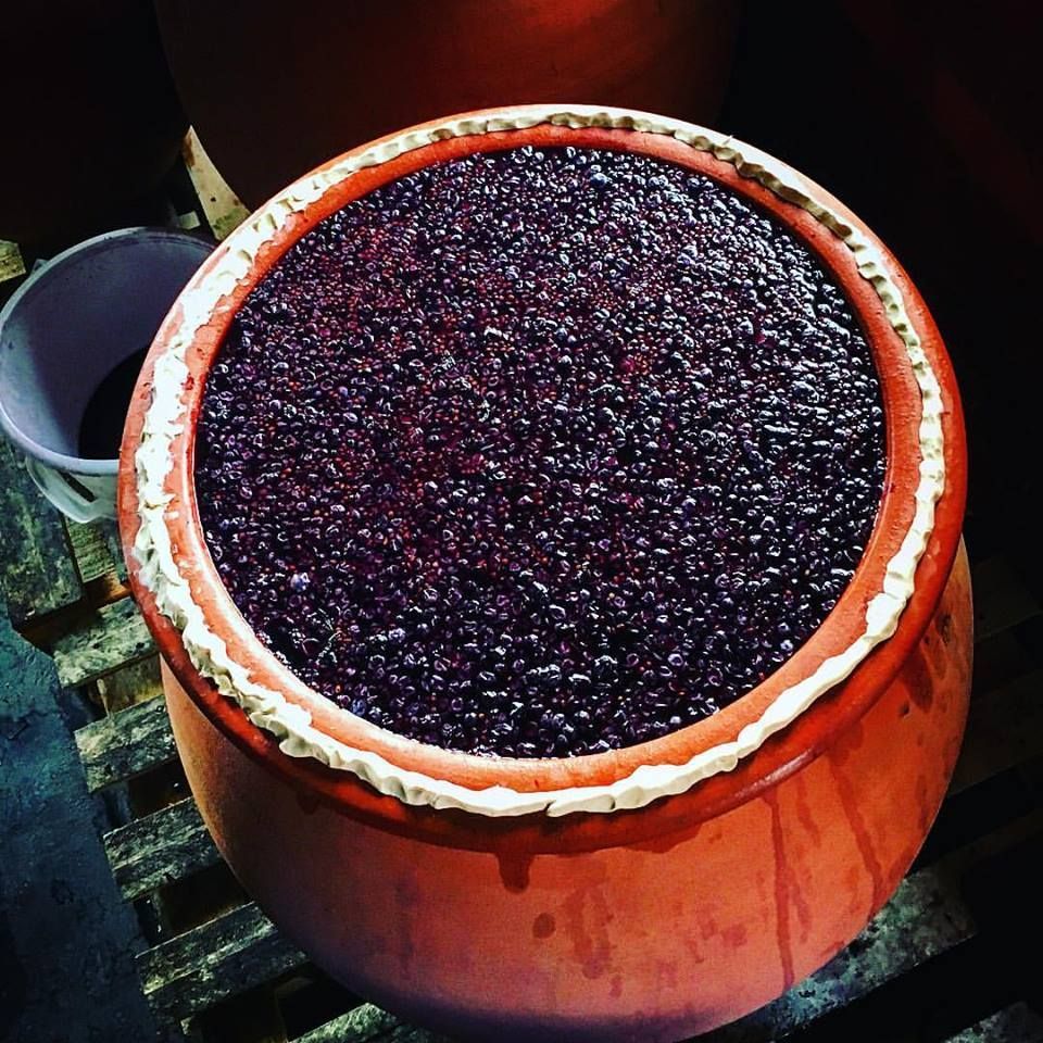 Unico Zelo Wine Collection | EPICUREAN WINES | US