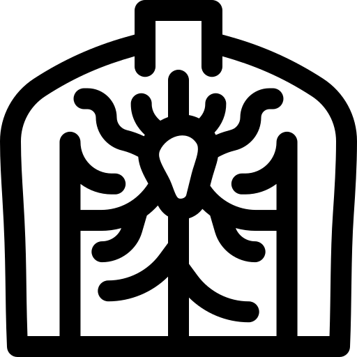 Alto Imaging - Ultrasound