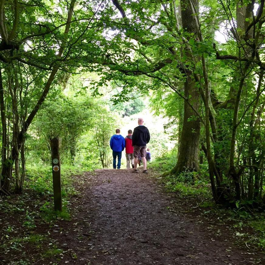 Fun french classes for adults