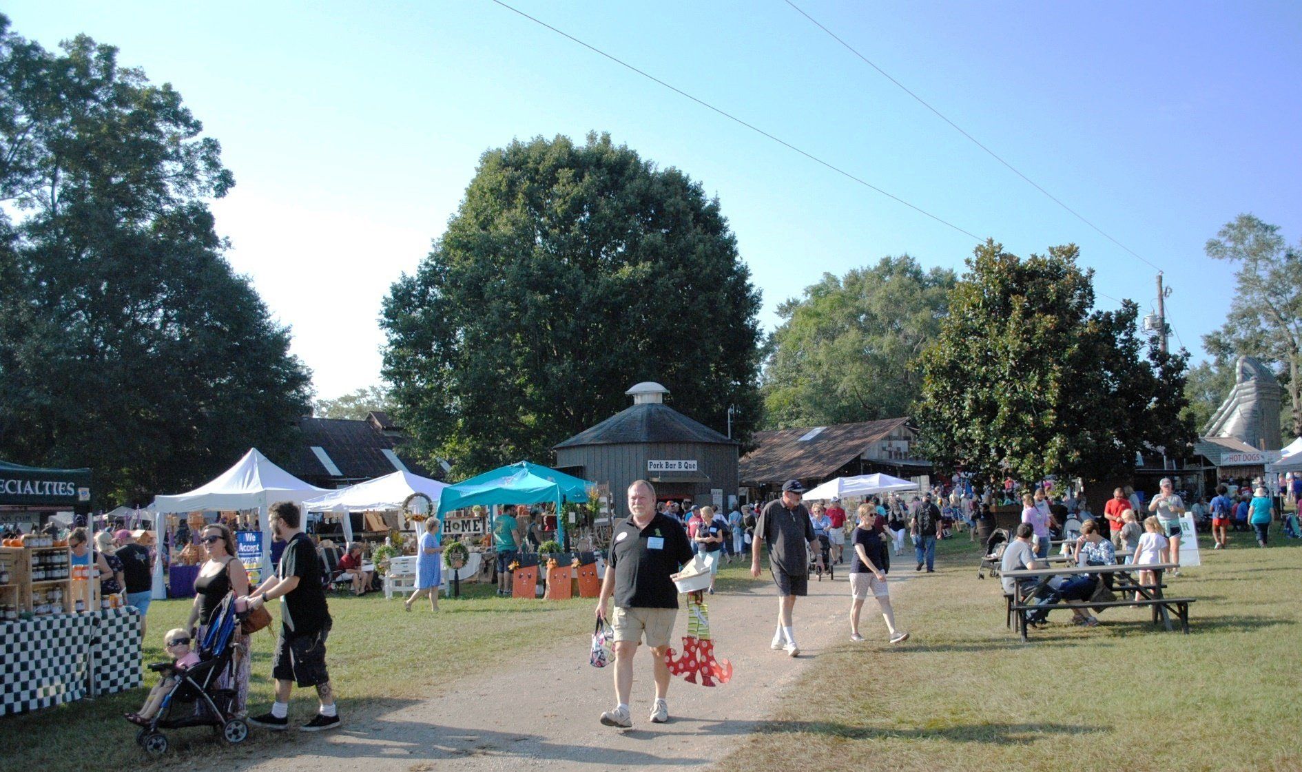 Home [longleafga.com]