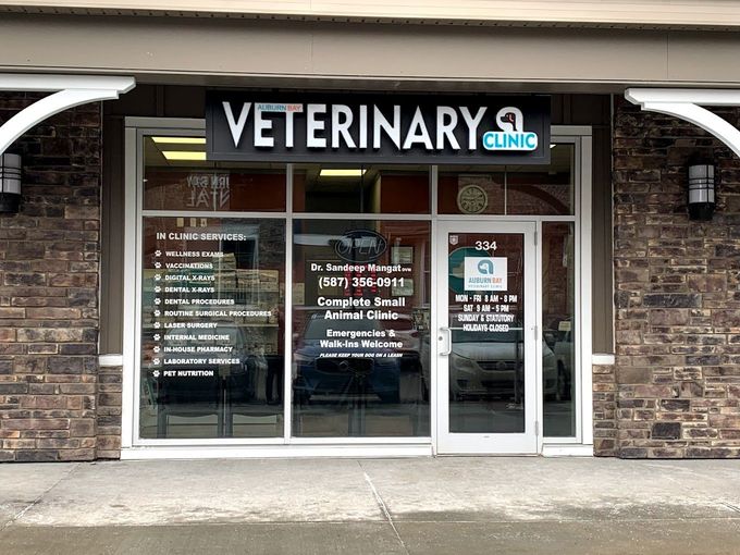 About Us | Calgary, AB | Auburn Bay Veterinary Clinic