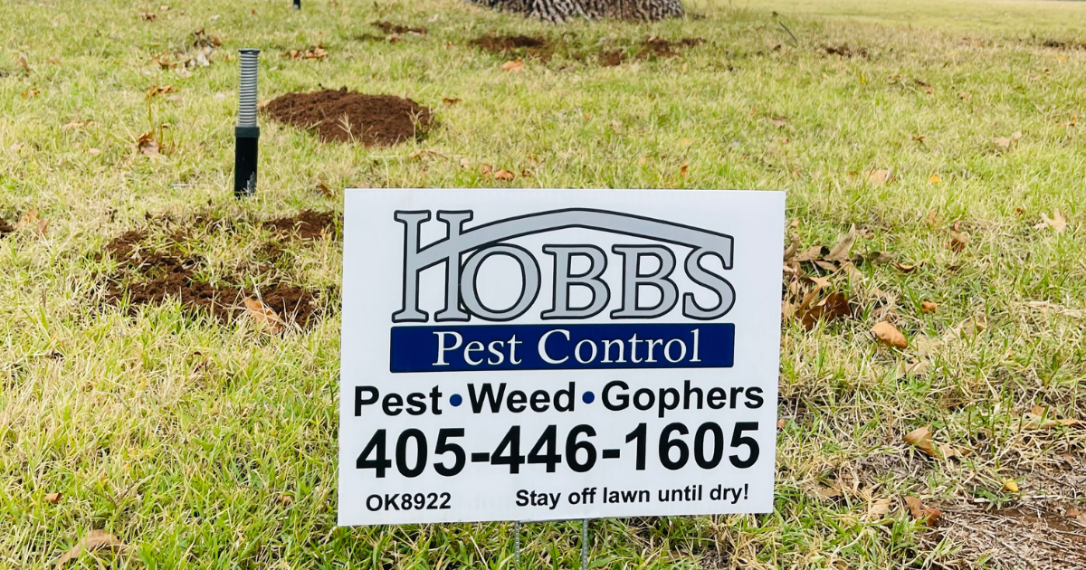Pest Control Services | OKC, Shawnee, Blanchard, Norman