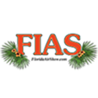 Aarron Deliu | Florida International Airshow | Florida