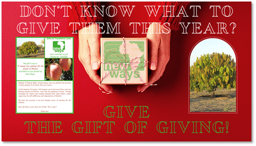 Alternative Gifts to Transform Lives