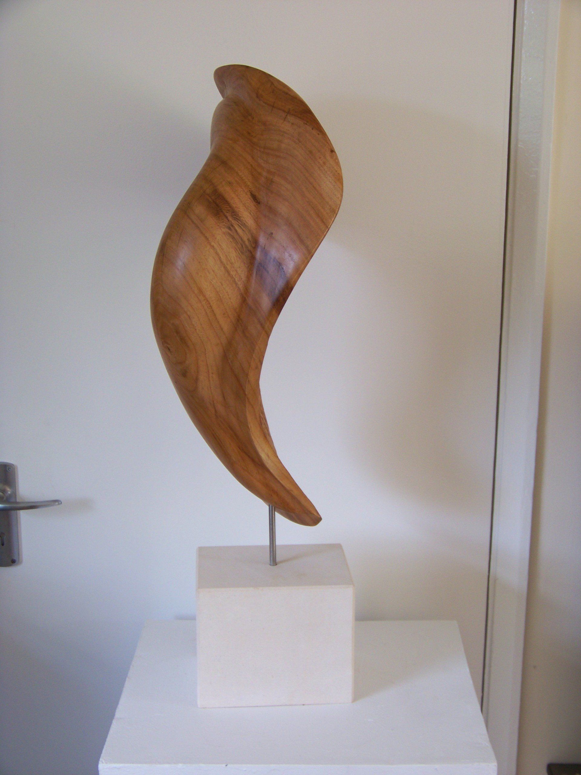 Abstract carvings and tree sculptures, Peter Leadbeater