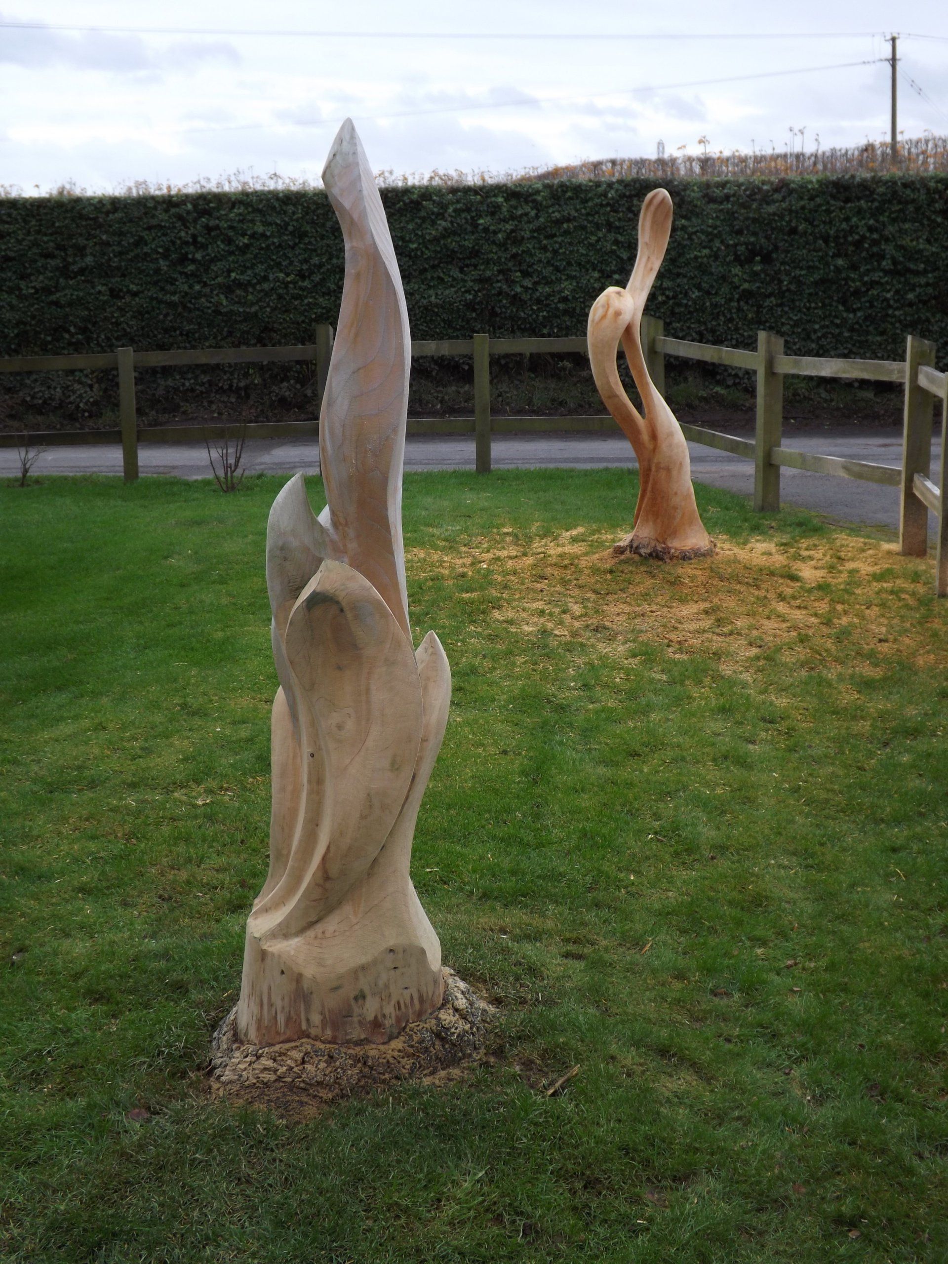 Abstract carvings and tree sculptures, Peter Leadbeater