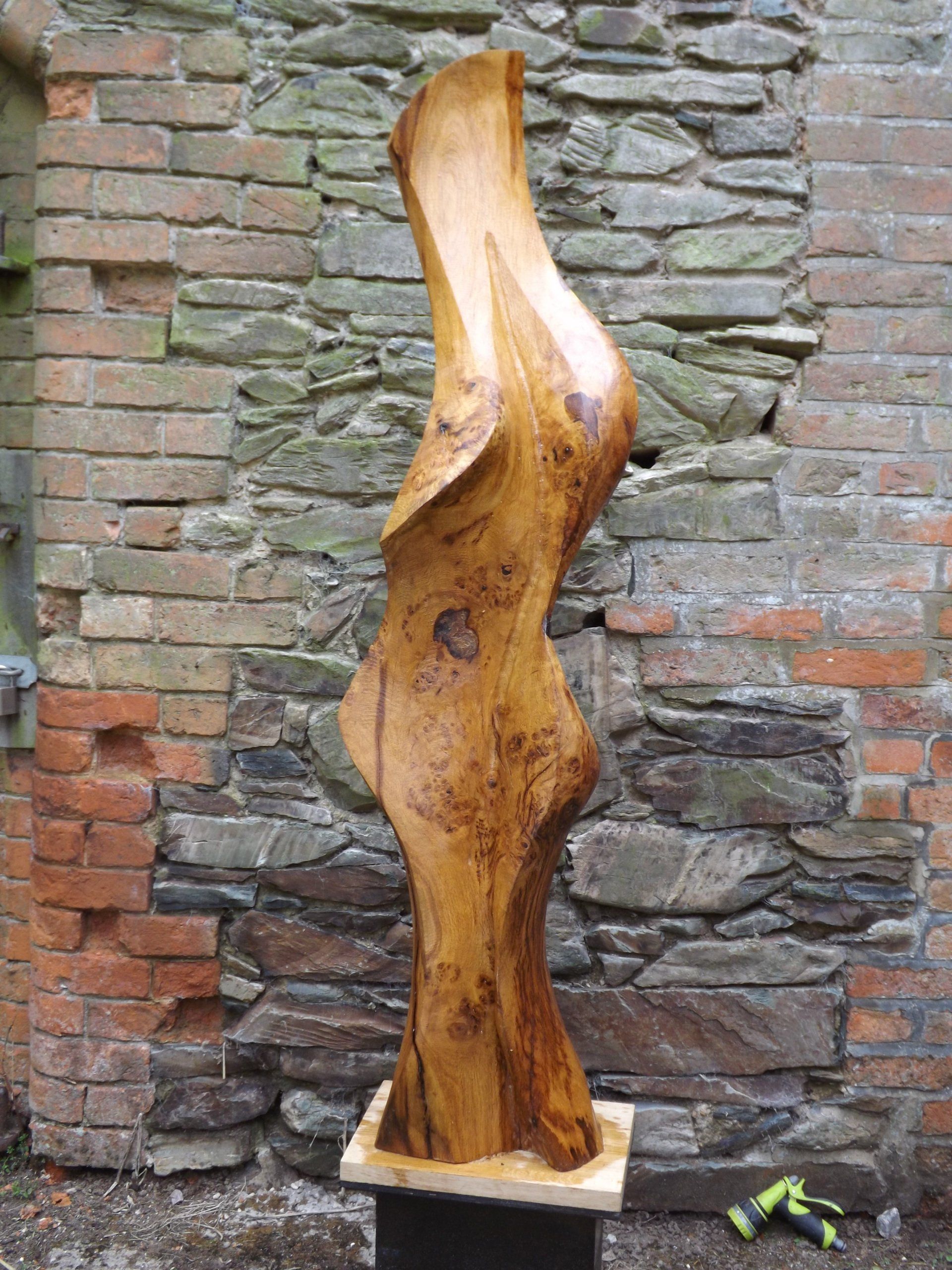 Abstract carvings and tree sculptures, Peter Leadbeater