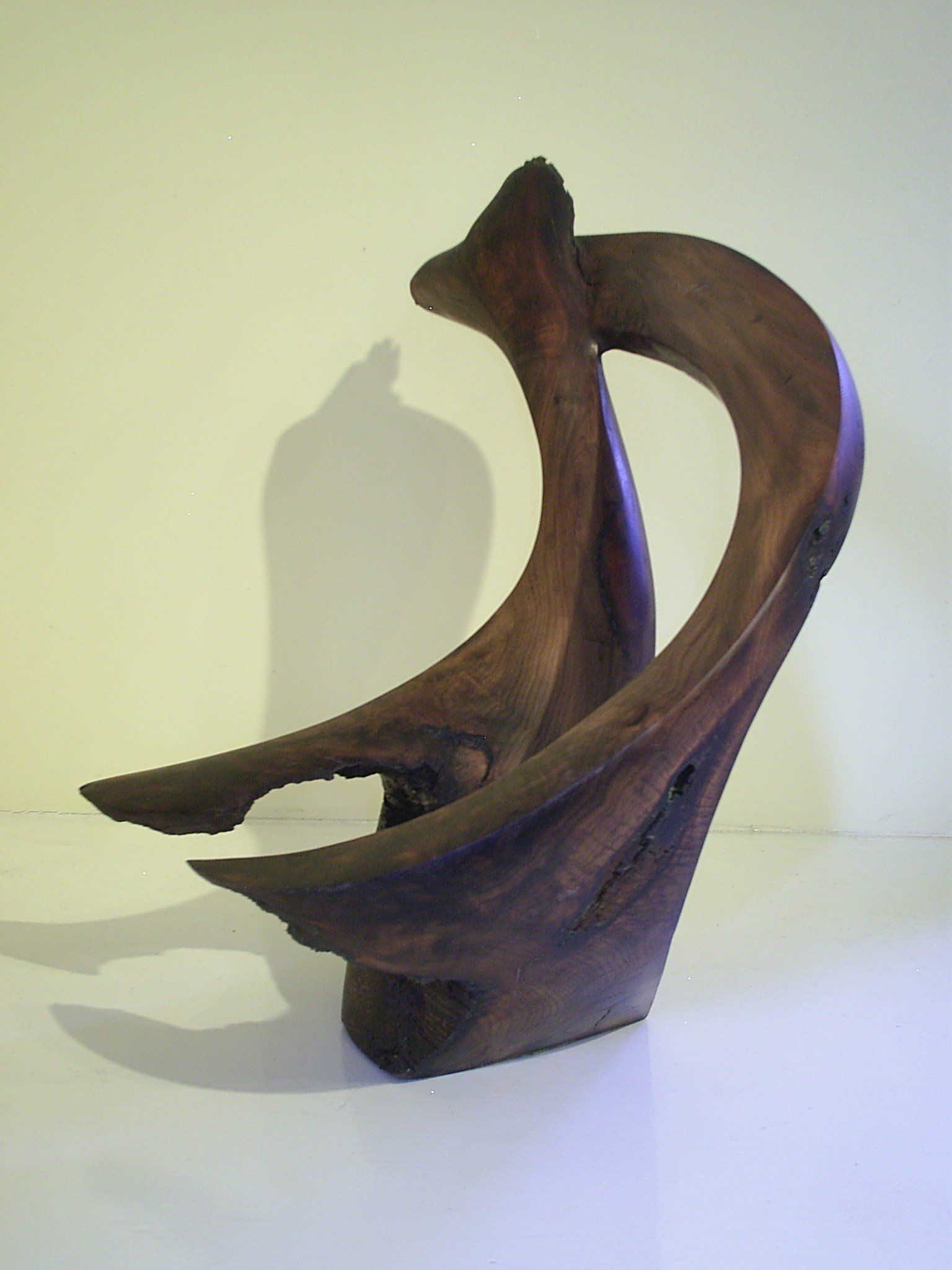 Abstract carvings and tree sculptures, Peter Leadbeater
