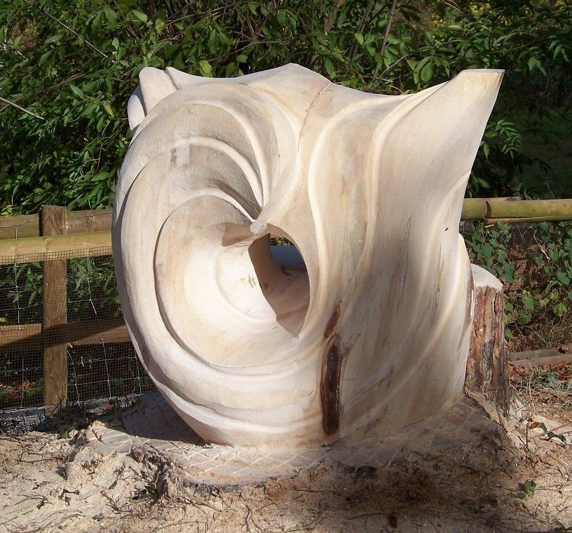 Abstract carvings and tree sculptures, Peter Leadbeater