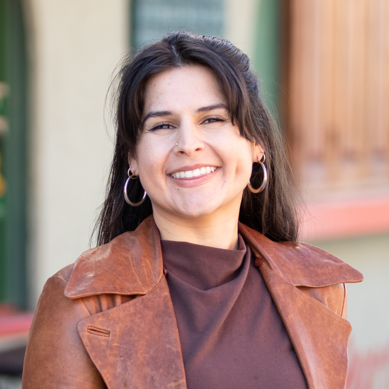 Home | Alexis Mercedes Rinck for Seattle City Council