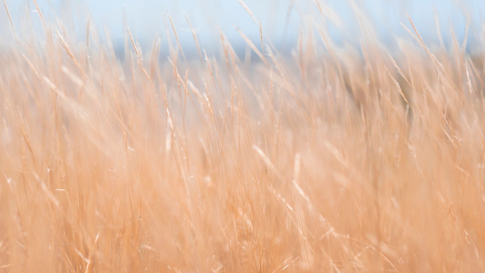 Ein neues Logo für die GGAB