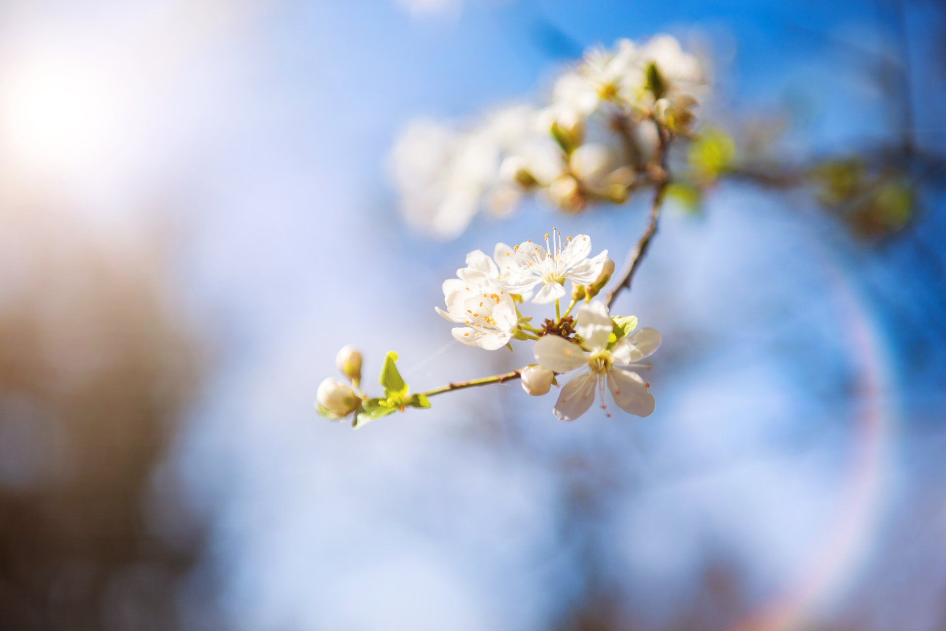 Frühlingsfeste in der GGAB