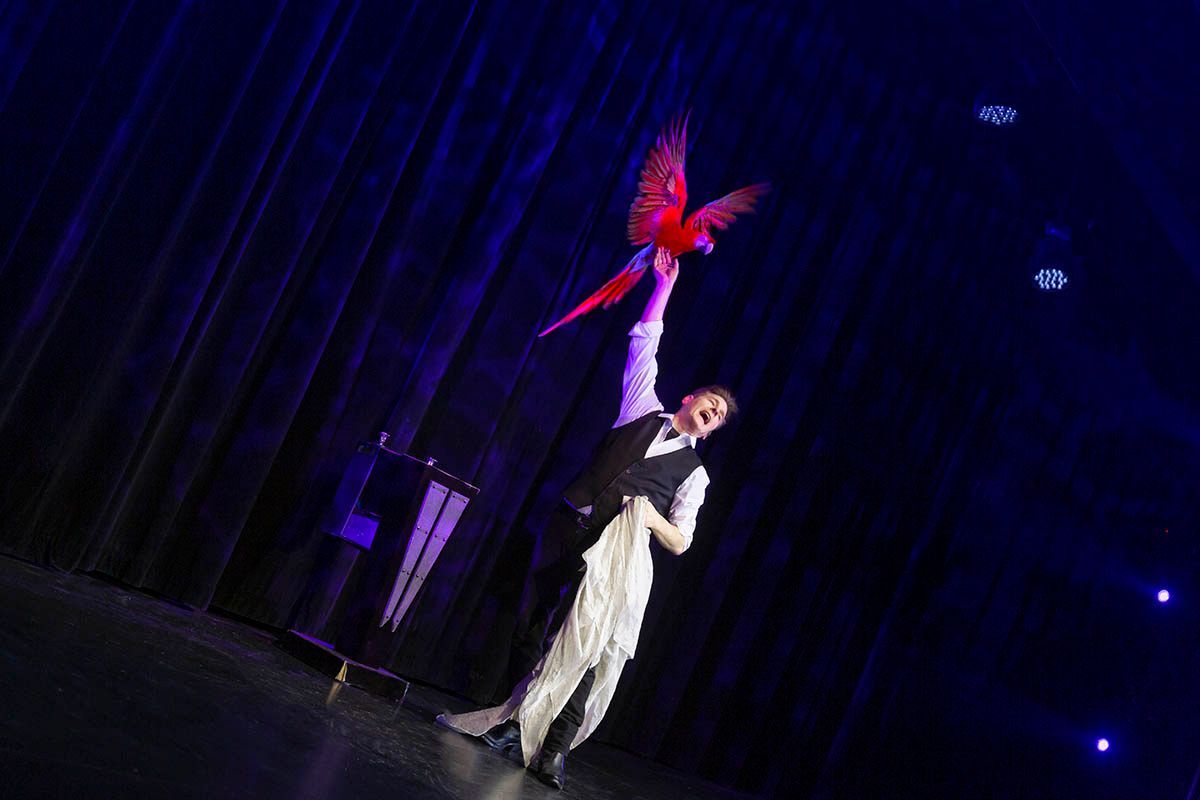 Wild Magic Photo Gallery | Greg Frewin Theatrical Centre