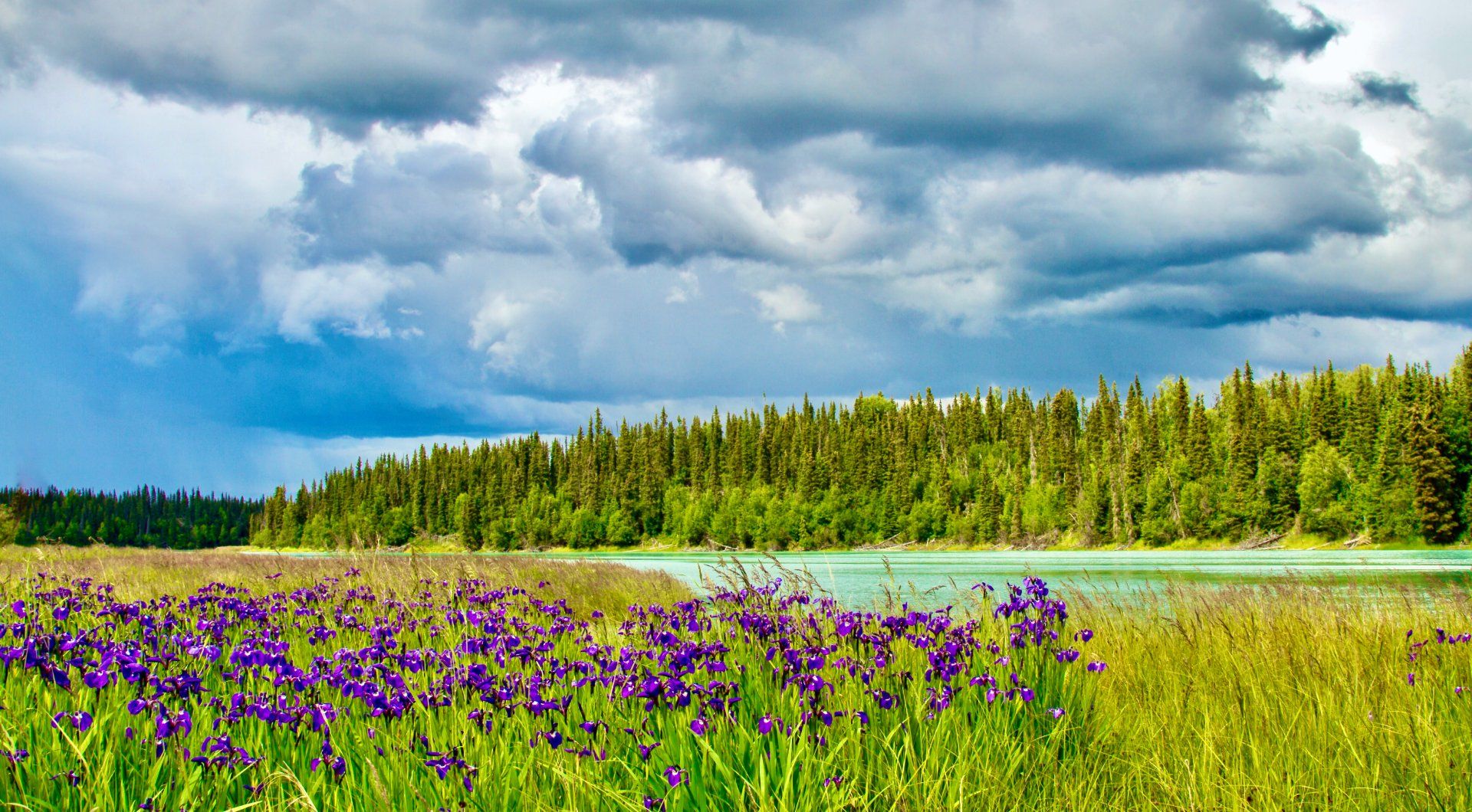 Discover Kenai | Kenai, Alaska