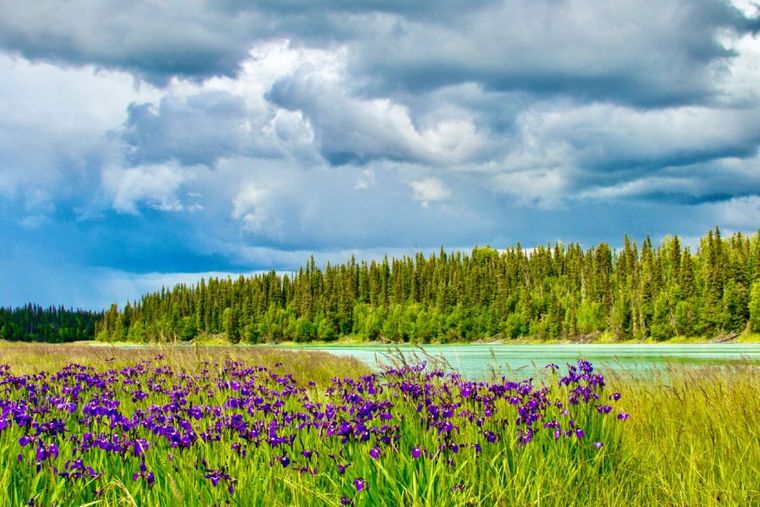Discover Kenai | Kenai, Alaska