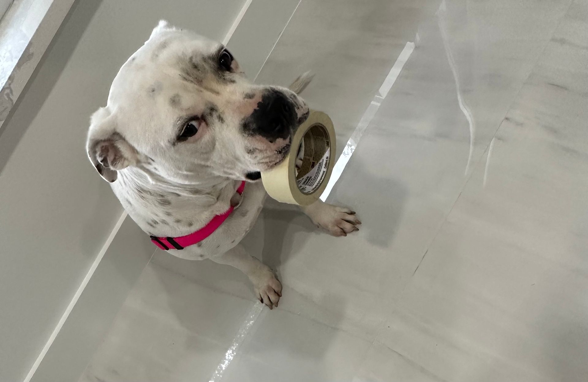 Paint Masking Tips for Your Home: Achieving Clean and Precise Results