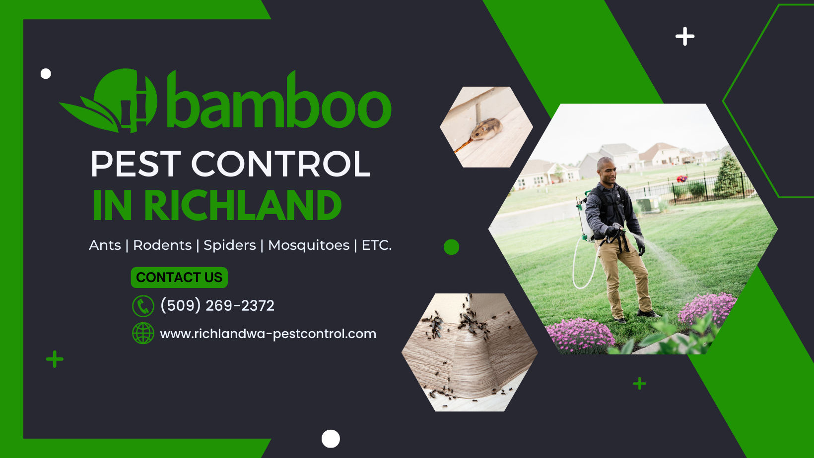Pest Control in Richland WA | Local Exterminators | Richland Pest ...