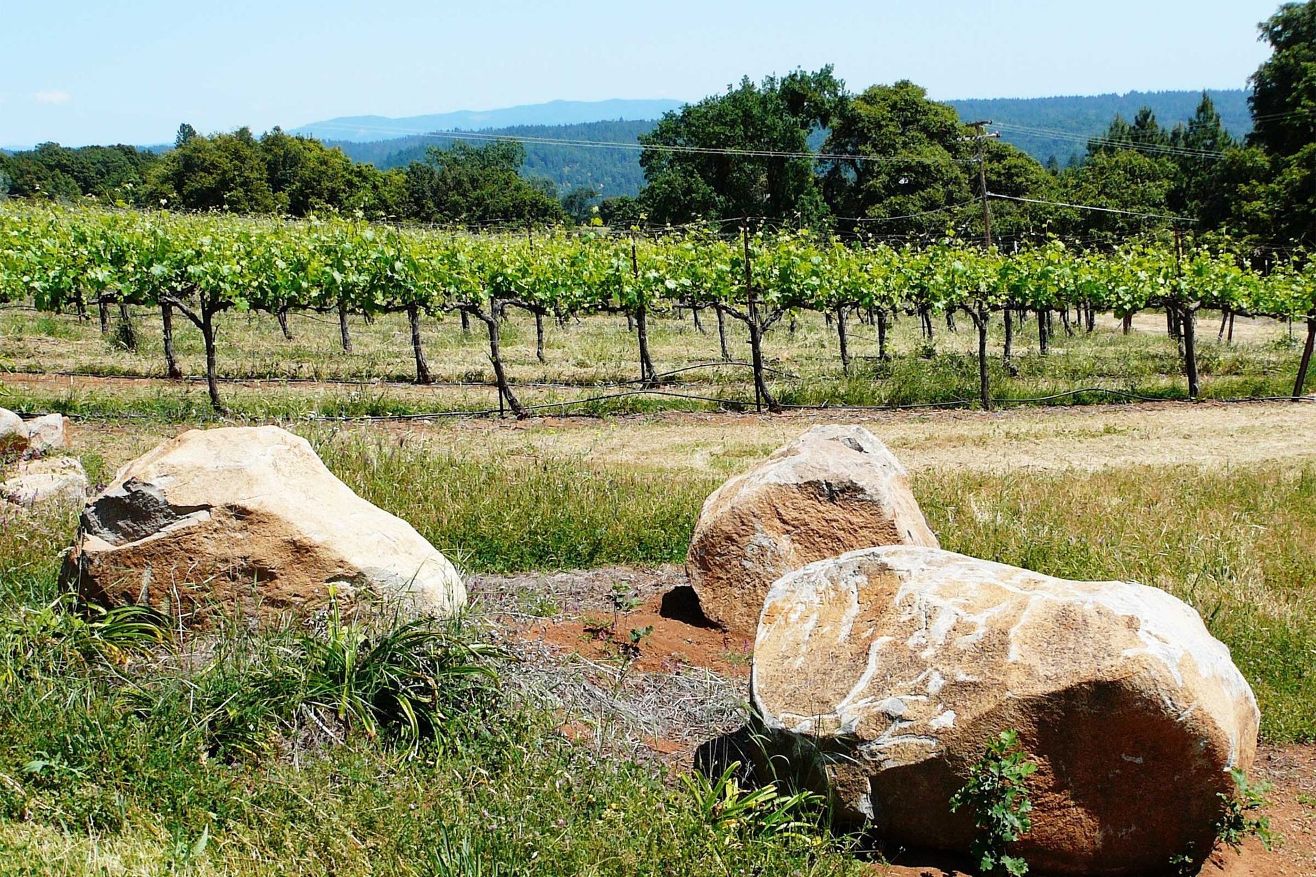 Terre Rouge and Easton Wines