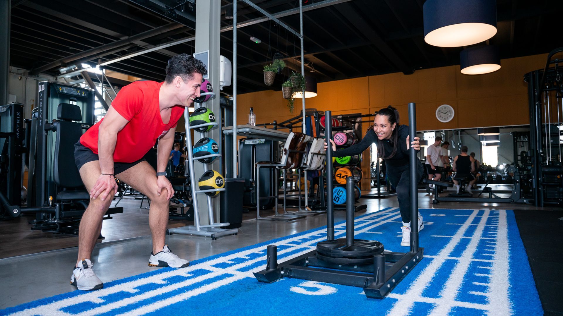 Tarieven | Daniels Basic