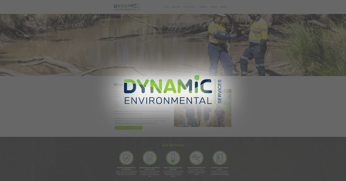 About Dynamic Environmental Services
