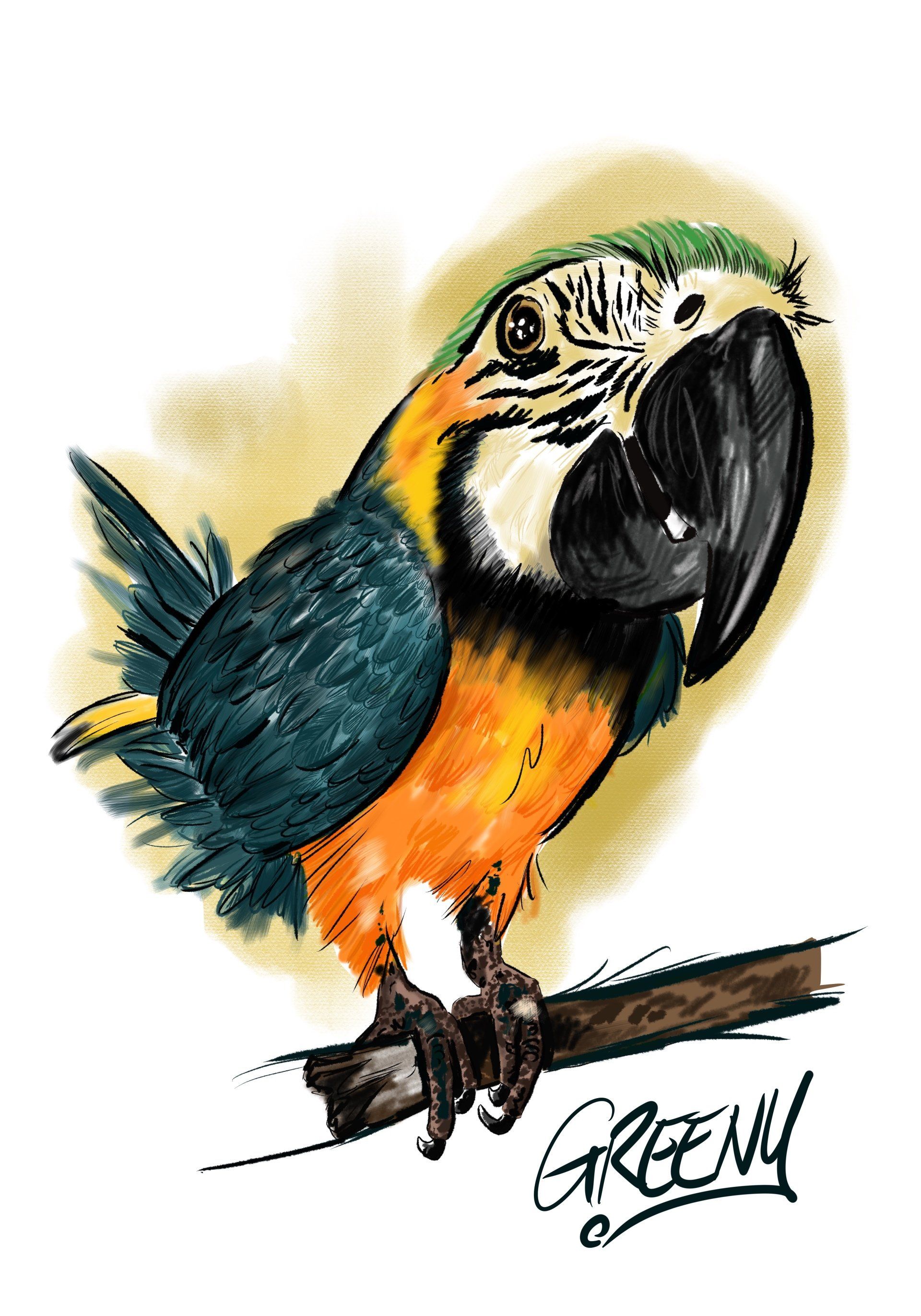 Australian Cartoonist | Cartoon Design | Best Cartoonist