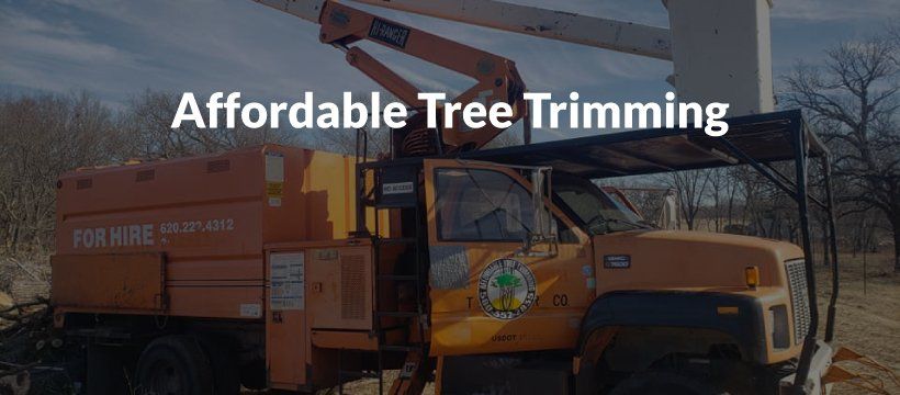 Tree Cutting Service Ponca City | Affordable Tree Trimming