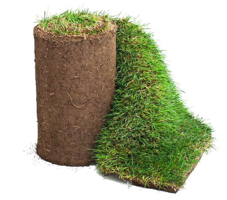 Turf Supplies | Freemans Reach, NSW | A B C Turf Supplies