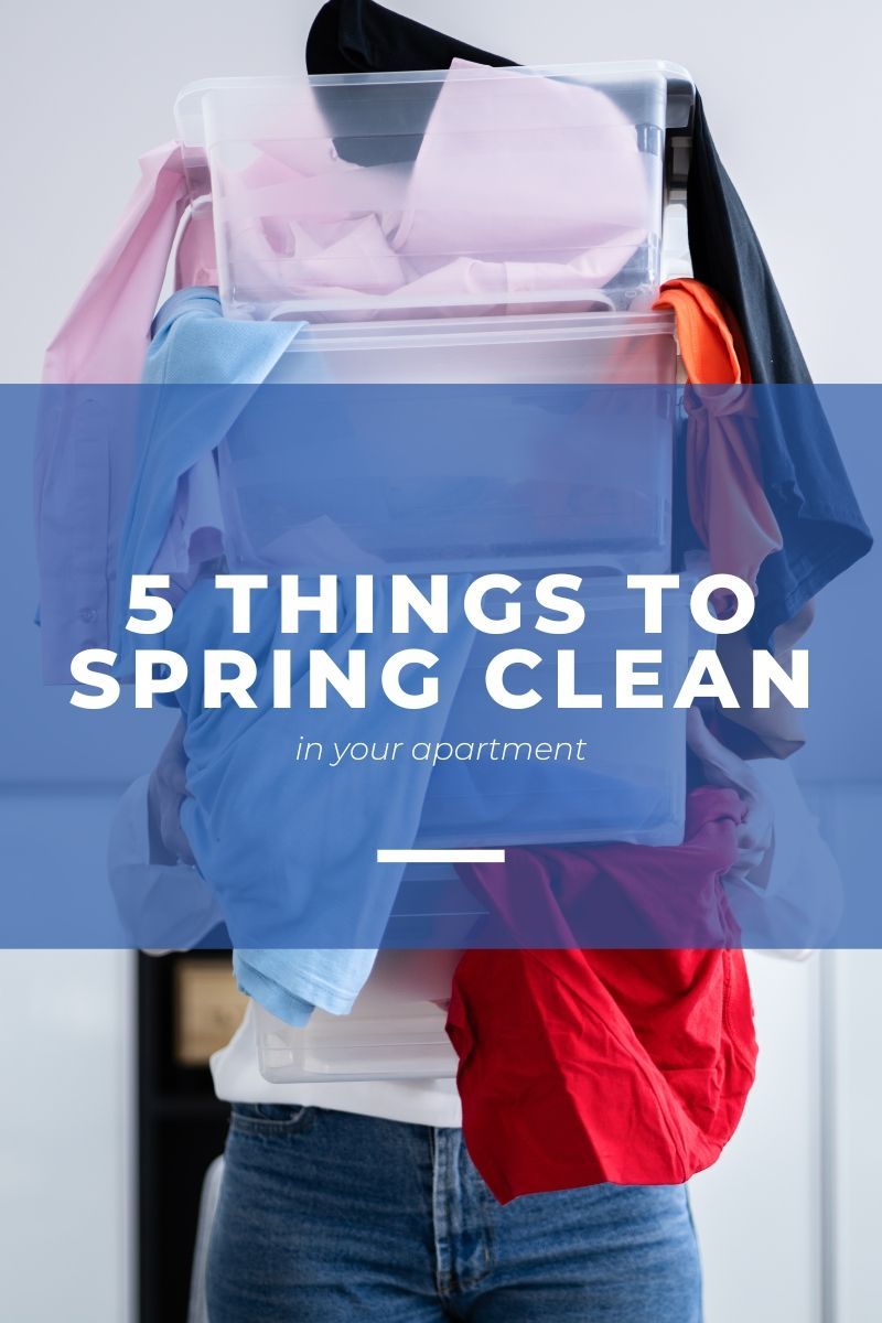 Five Things to Spring Clean in Your Apartment