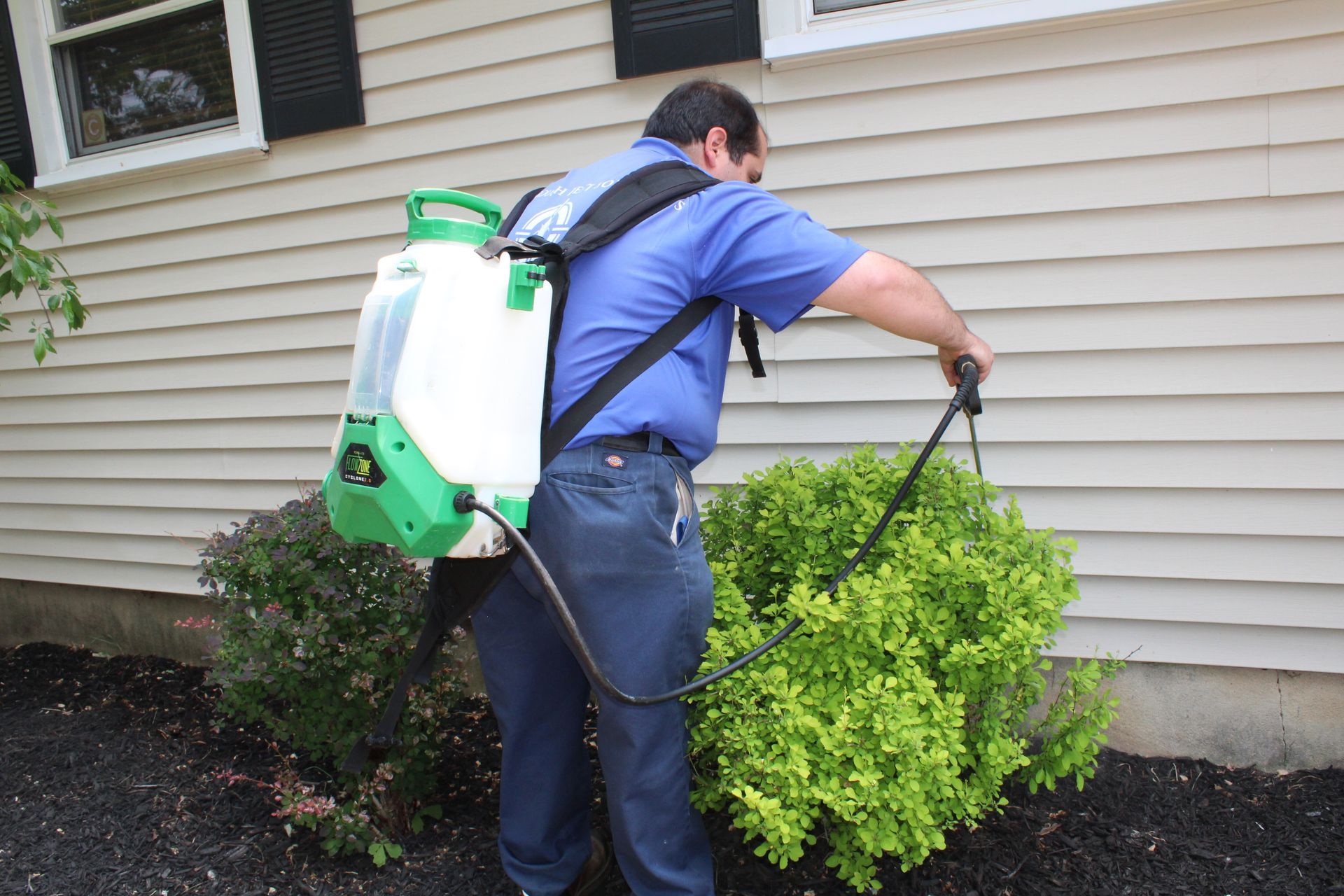 Pest Control | Neptune City, NJ | Thorough Pest Solutions
