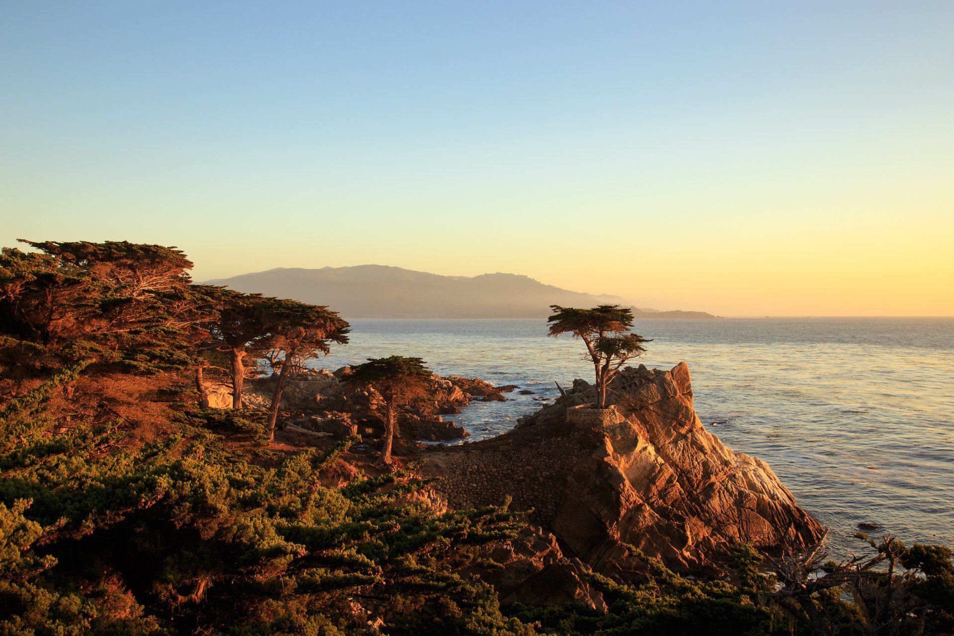 Pest Control Services for Monterey County, CA | Monterey Bay Pest ...