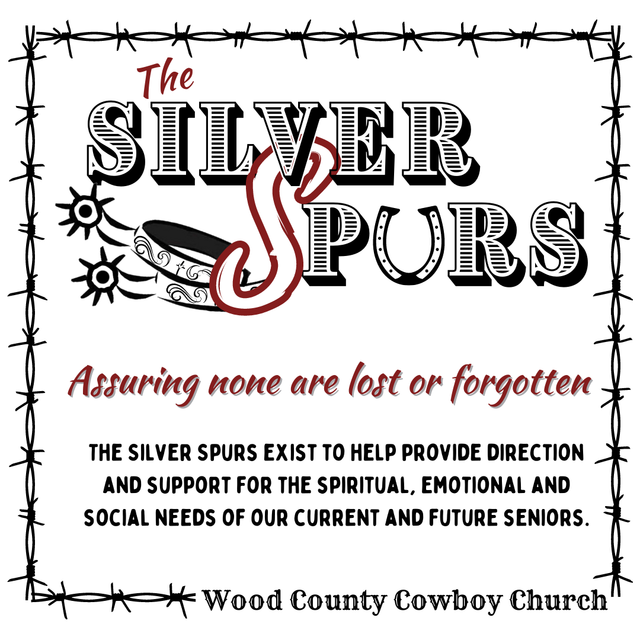 Silver Spurs Logo Sterling Silver NBA LogoArt San Antonio Spurs XL