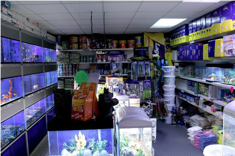 Aquatic gallery | London | Woodford Aquatics