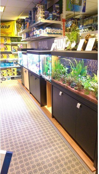 Aquatic gallery | London | Woodford Aquatics