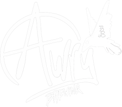 Great Brews & Bites in Louisville, KY | Awry Brewing