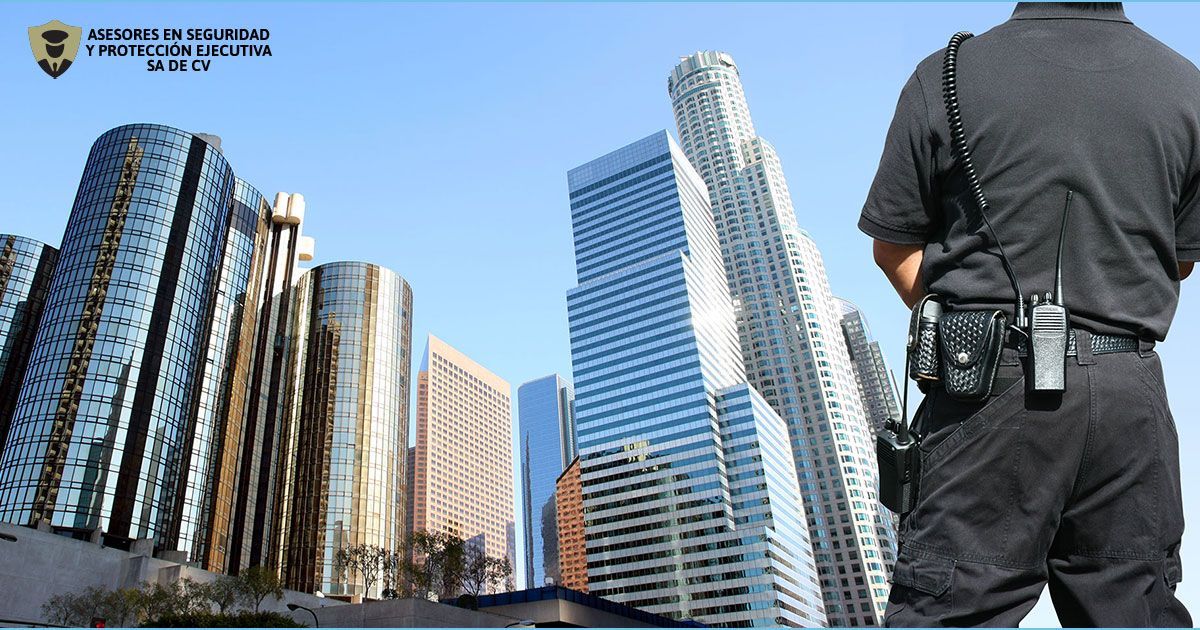 Seguridad Privada en Guanajuato y México
