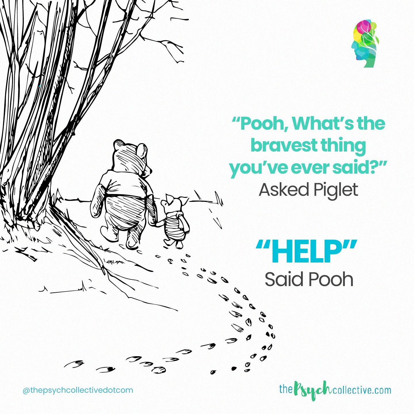 What is a Schema? Everything You Need to Know