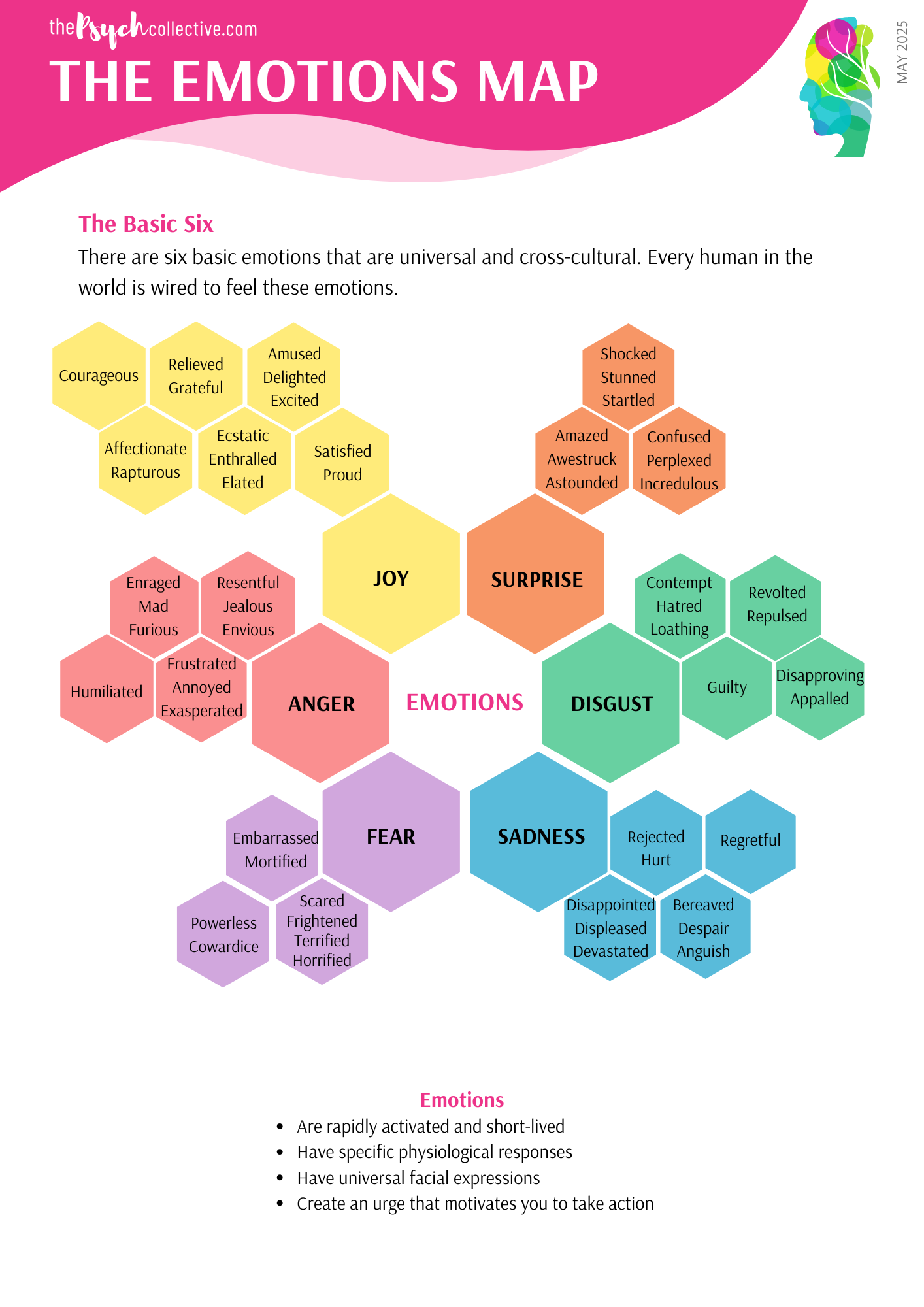 The 6 Basic Emotions