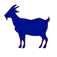 Professional Website Design For SMEs | Blue Goat Digital