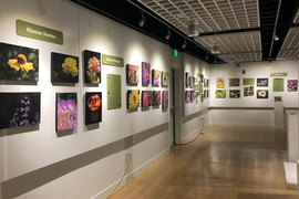 The MACC: Mills Station Art & Culture Center