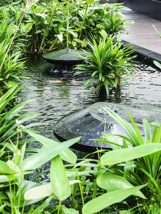 CleanTech Two @ CleanTech Park - Level 4 Roof Top Garden