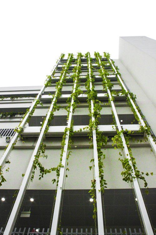 CleanTech Two @ CleanTech Park - Level 4 Roof Top Garden