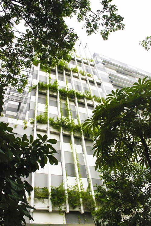 CleanTech Two @ CleanTech Park - Level 4 Roof Top Garden